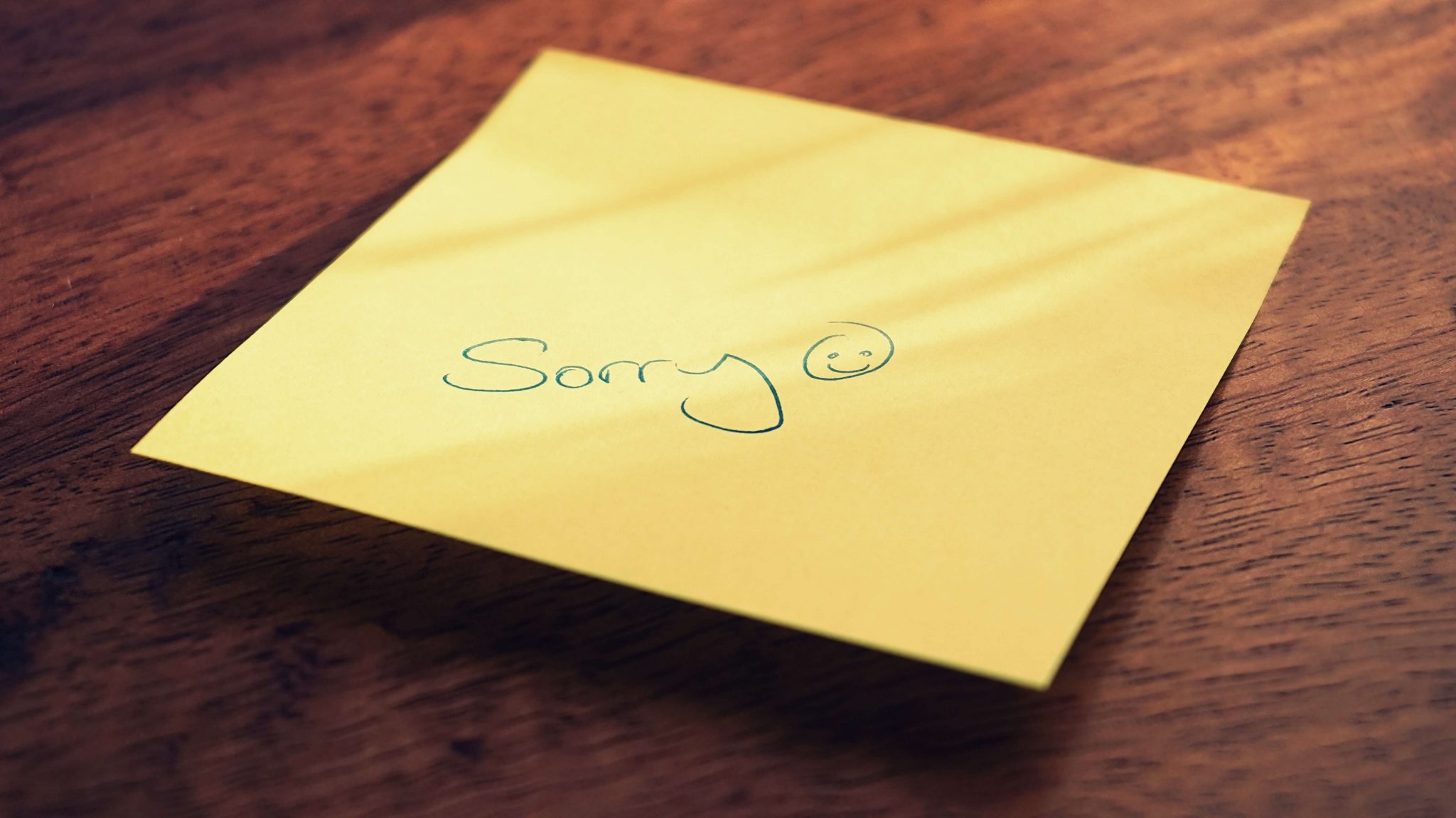 Apologize Apologize